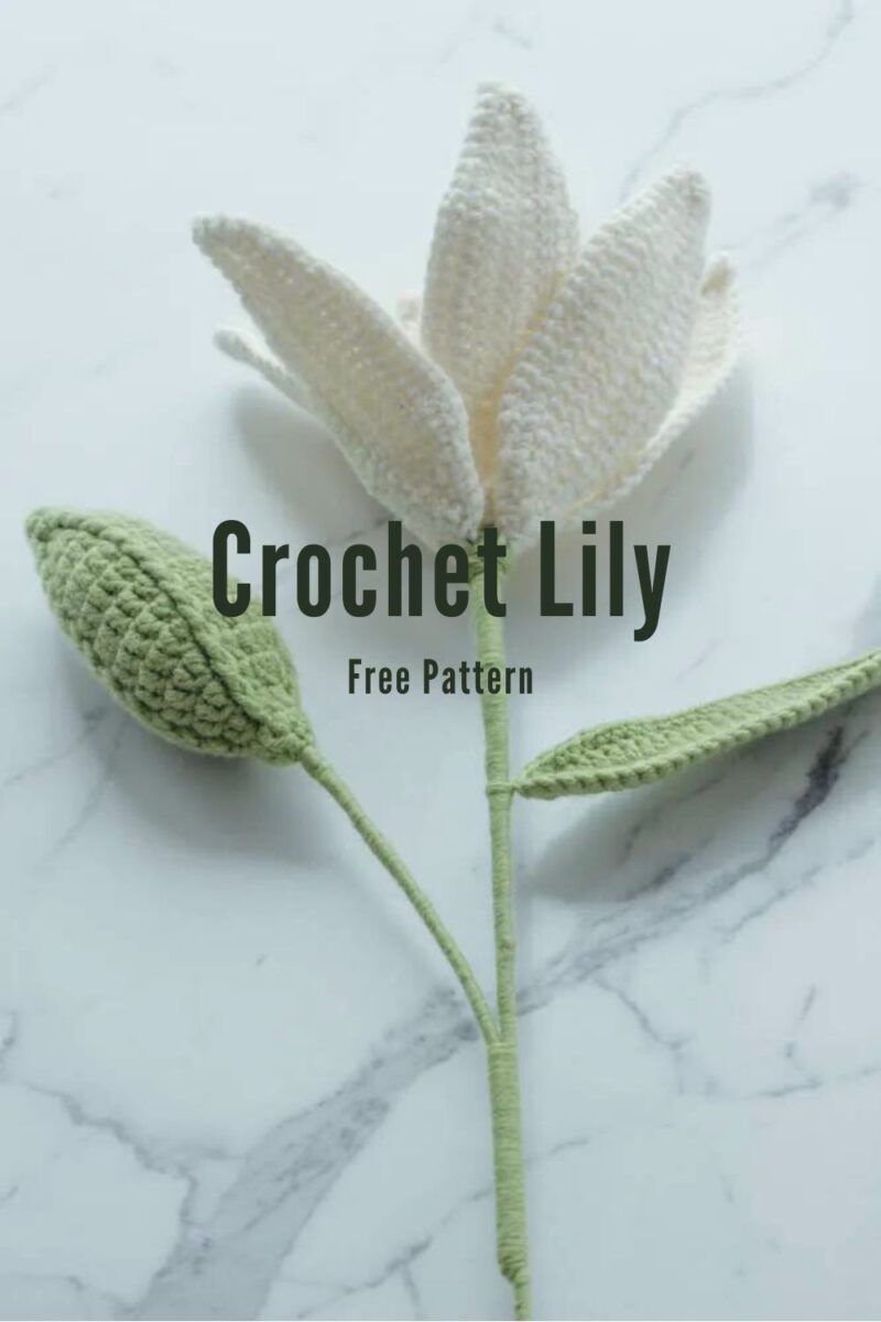 Crochet Calla Lily Pattern - Hookok