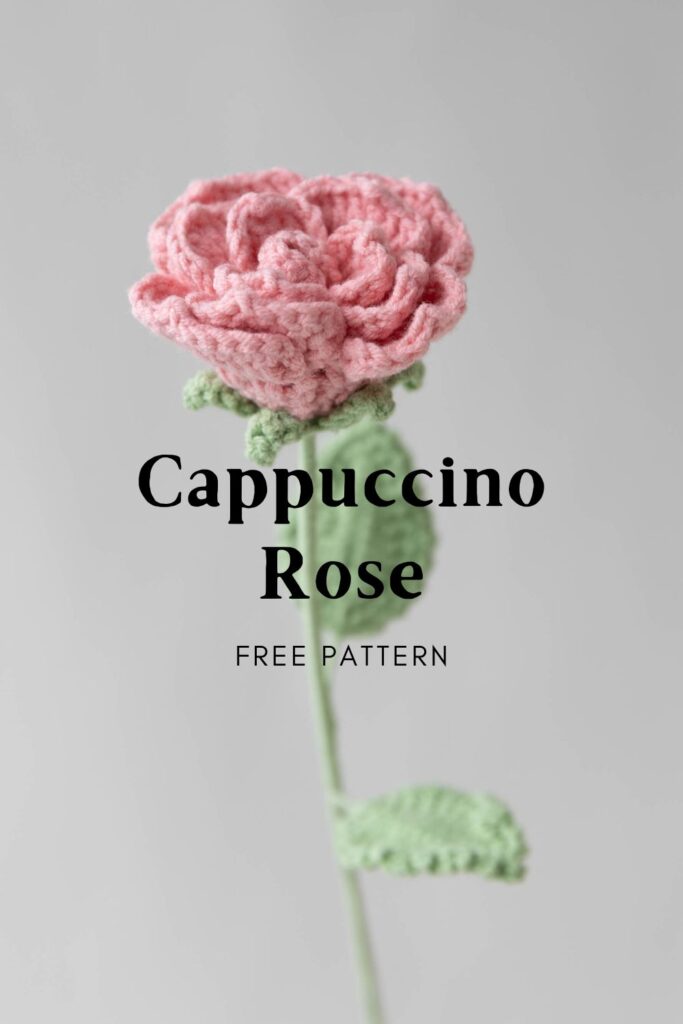 Crochet Cappuccino Rose- Free Pattern - Hookok