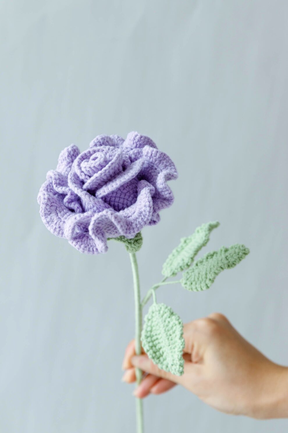 How to Crochet a Aisha Rose - Free Pattern - Hookok