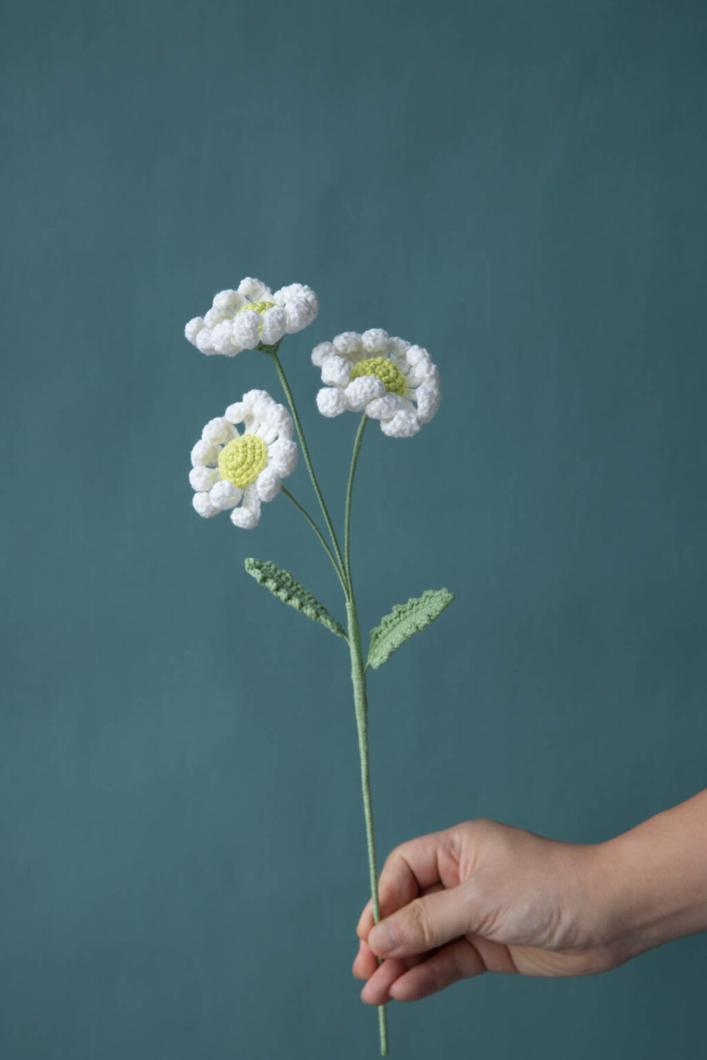 PDF Pattern-Crochet Wild Daisy Flower - Hookok