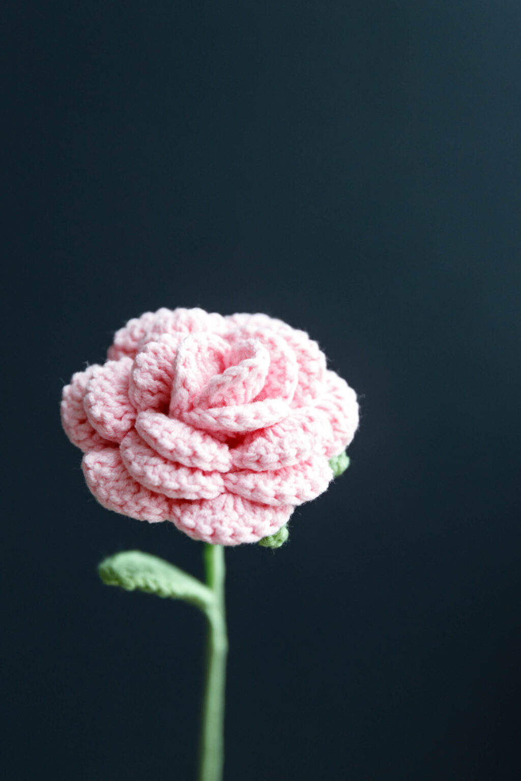 Free Crochet Rose Patterns List - How to Crochet Roses - Hookok