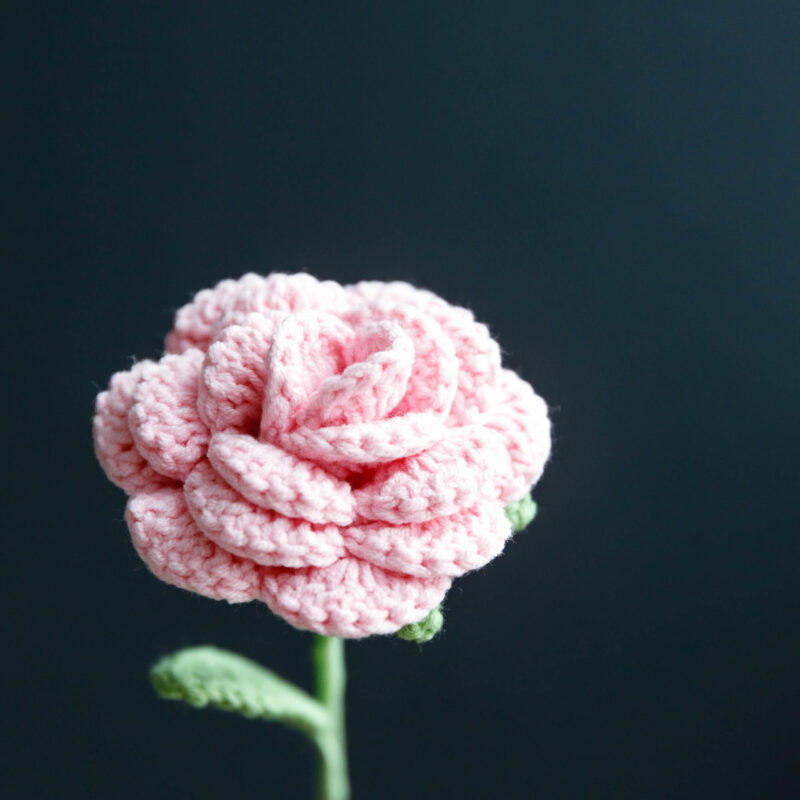 Free Crochet Rose Patterns List - How to Crochet Roses - Hookok