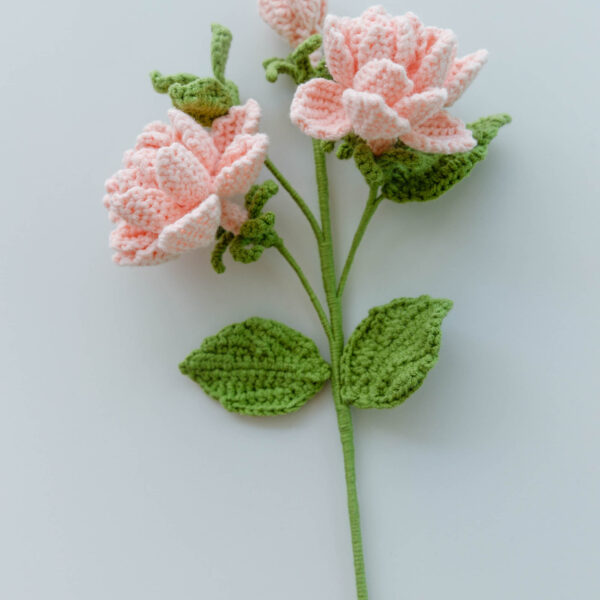 build your own bouquet Archives - Hookok