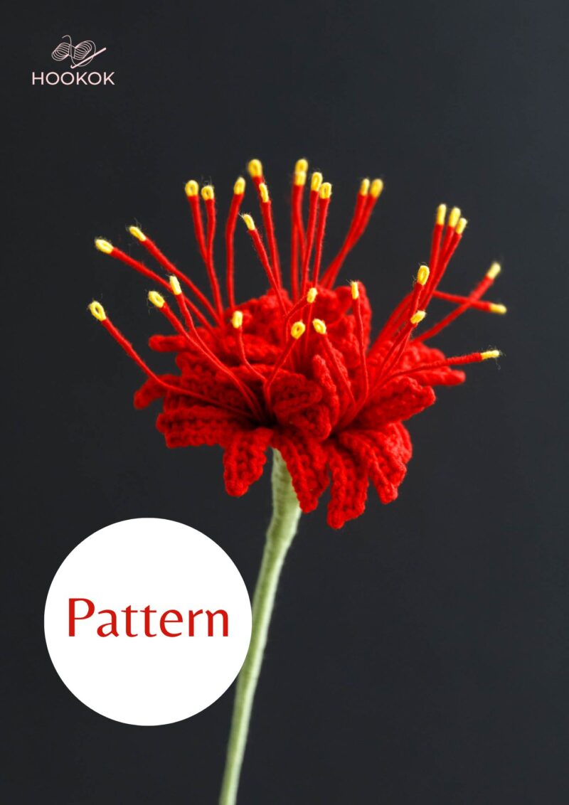 PDF Pattern-Crochet Spider Lily - Hookok
