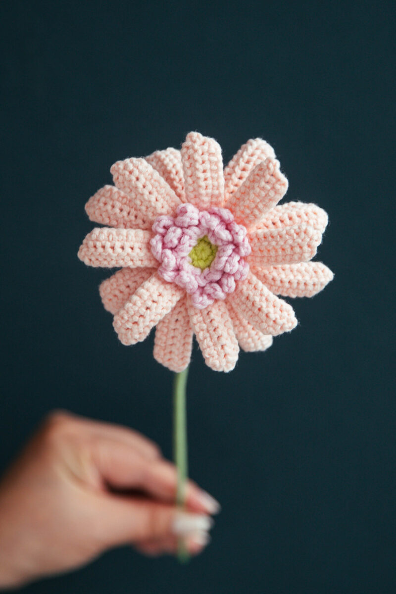 PDF Pattern- Crochet Gerbera Daisy - Hookok