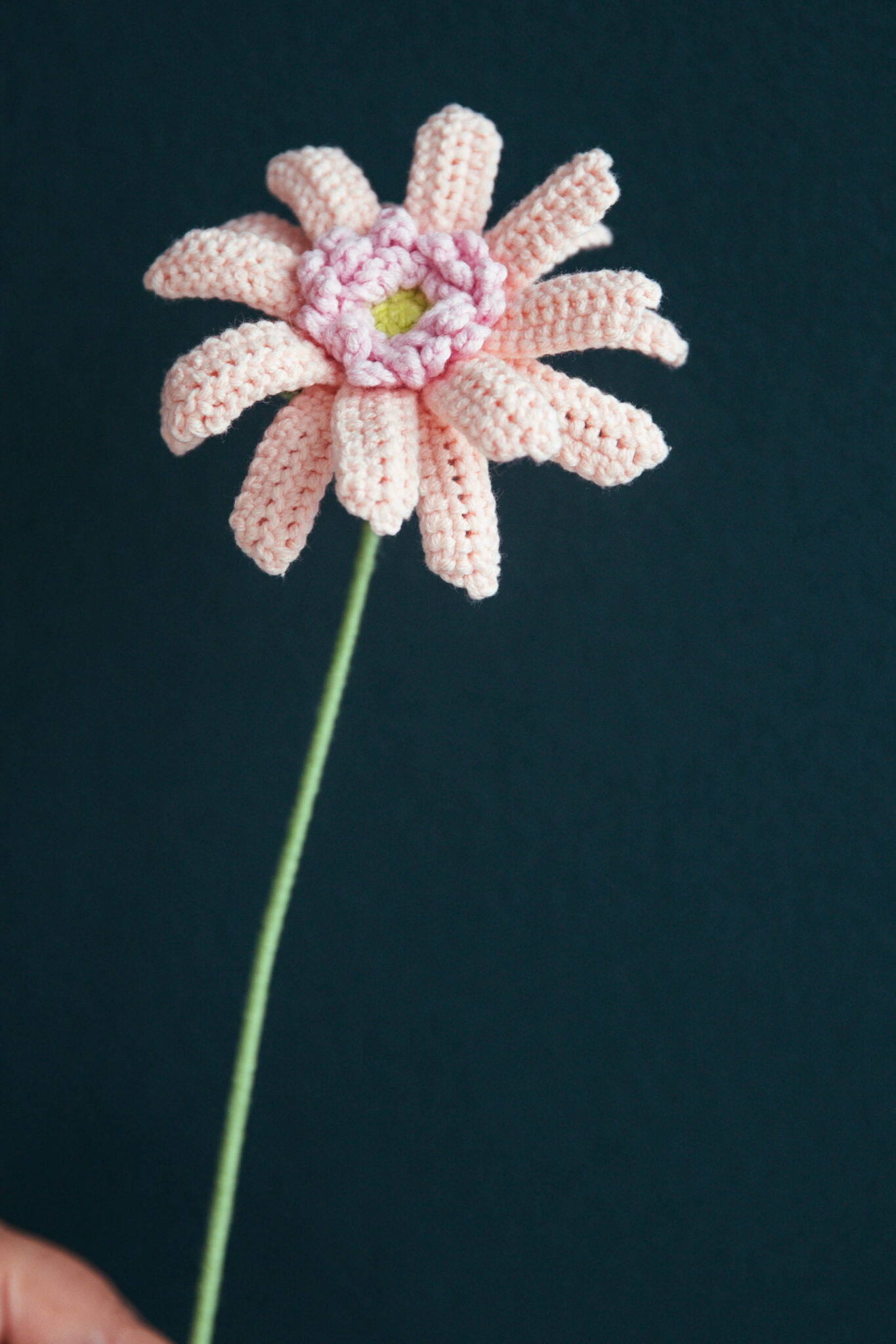 PDF Pattern- Crochet Gerbera Daisy - Hookok
