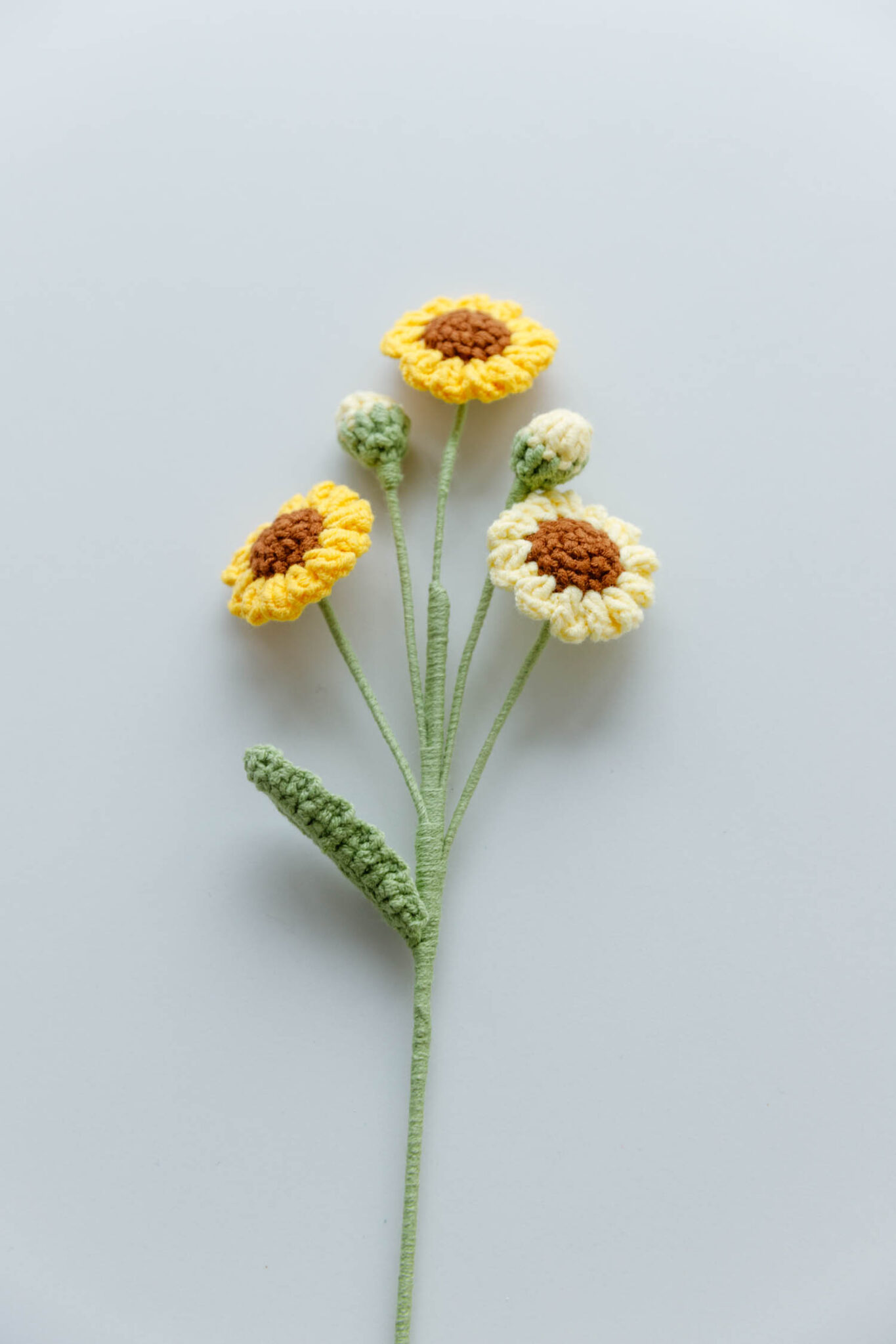 Crochet Daisy Kits - Hookok - Hookok