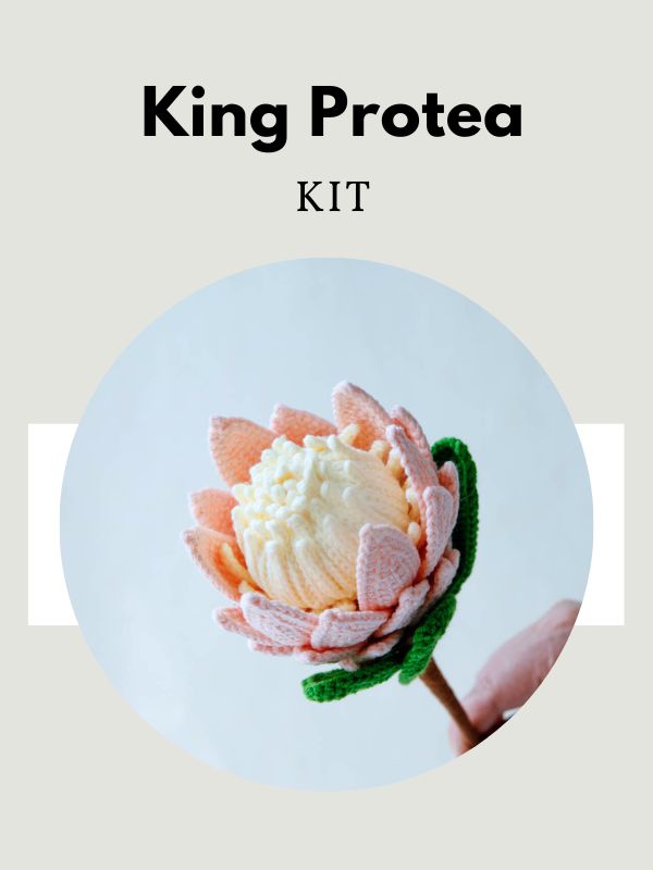 Crochet King Protea Kit – Hookok - Hookok