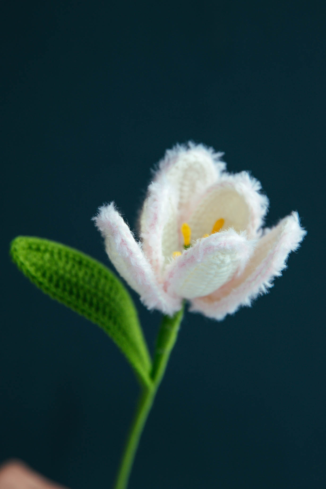 PDF Pattern- Crochet Plush Edge Tulip - Hookok