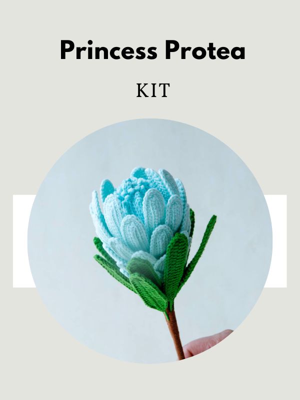Crochet Princess Protea Kit – Hookok - Hookok