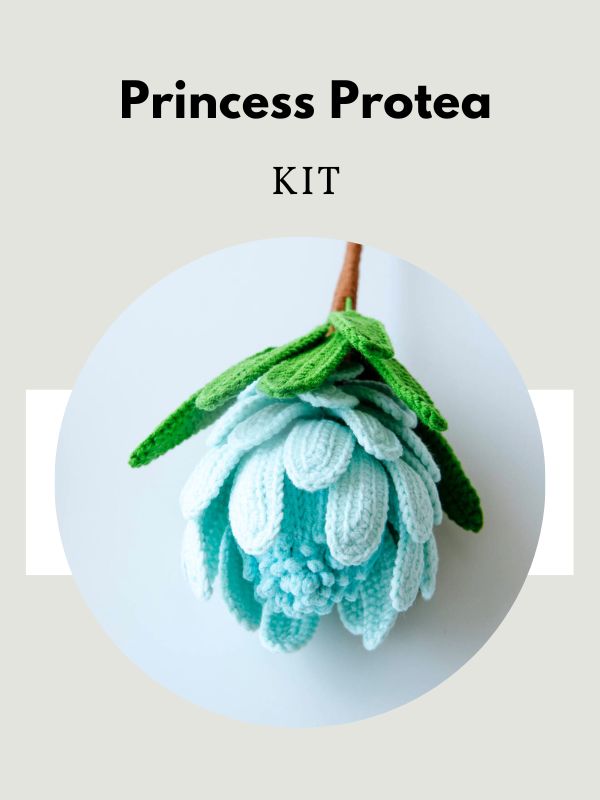 Crochet Princess Protea Kit – Hookok - Hookok