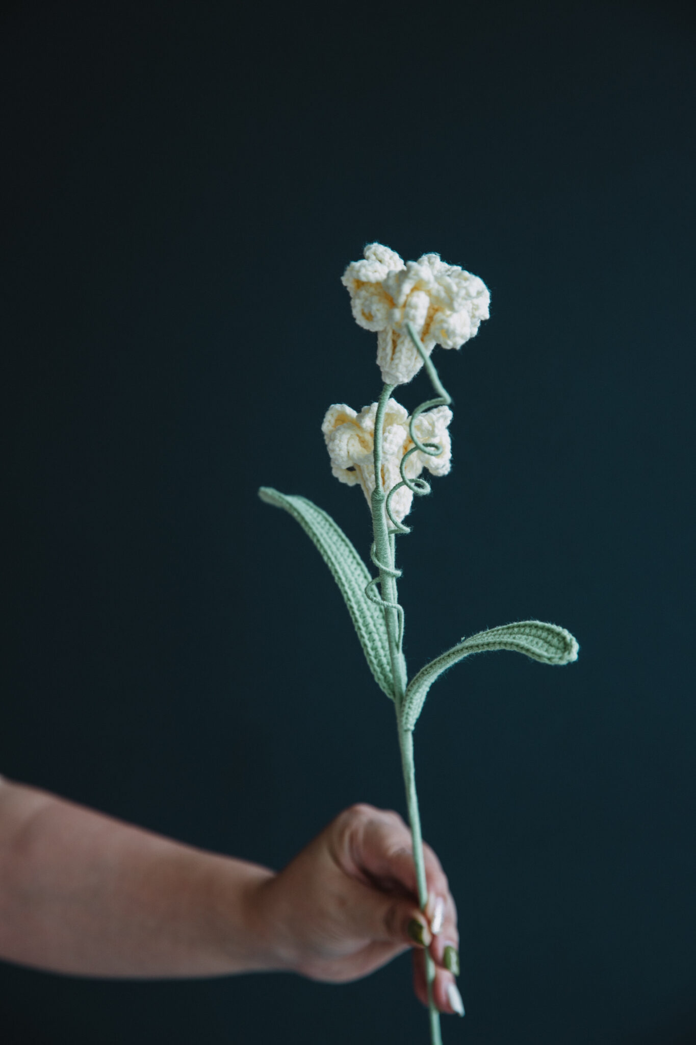 PDF Pattern- Crochet Peruvian Daffodil - Hookok