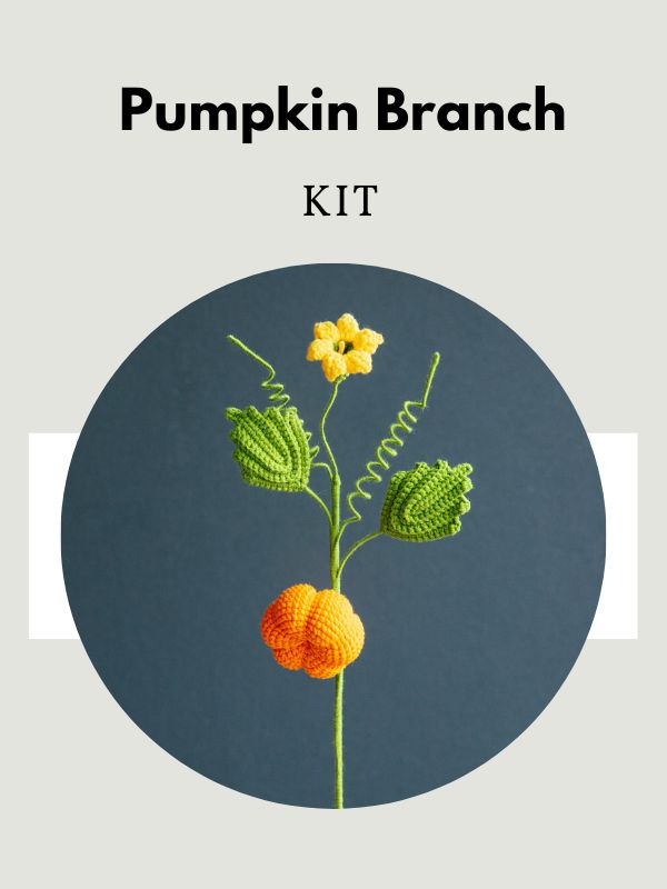 Crochet Pumpkin Branch Kit – Hookok - Hookok