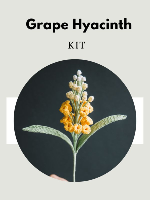 Crochet Grape Hyacinth Kit – Hookok - Hookok