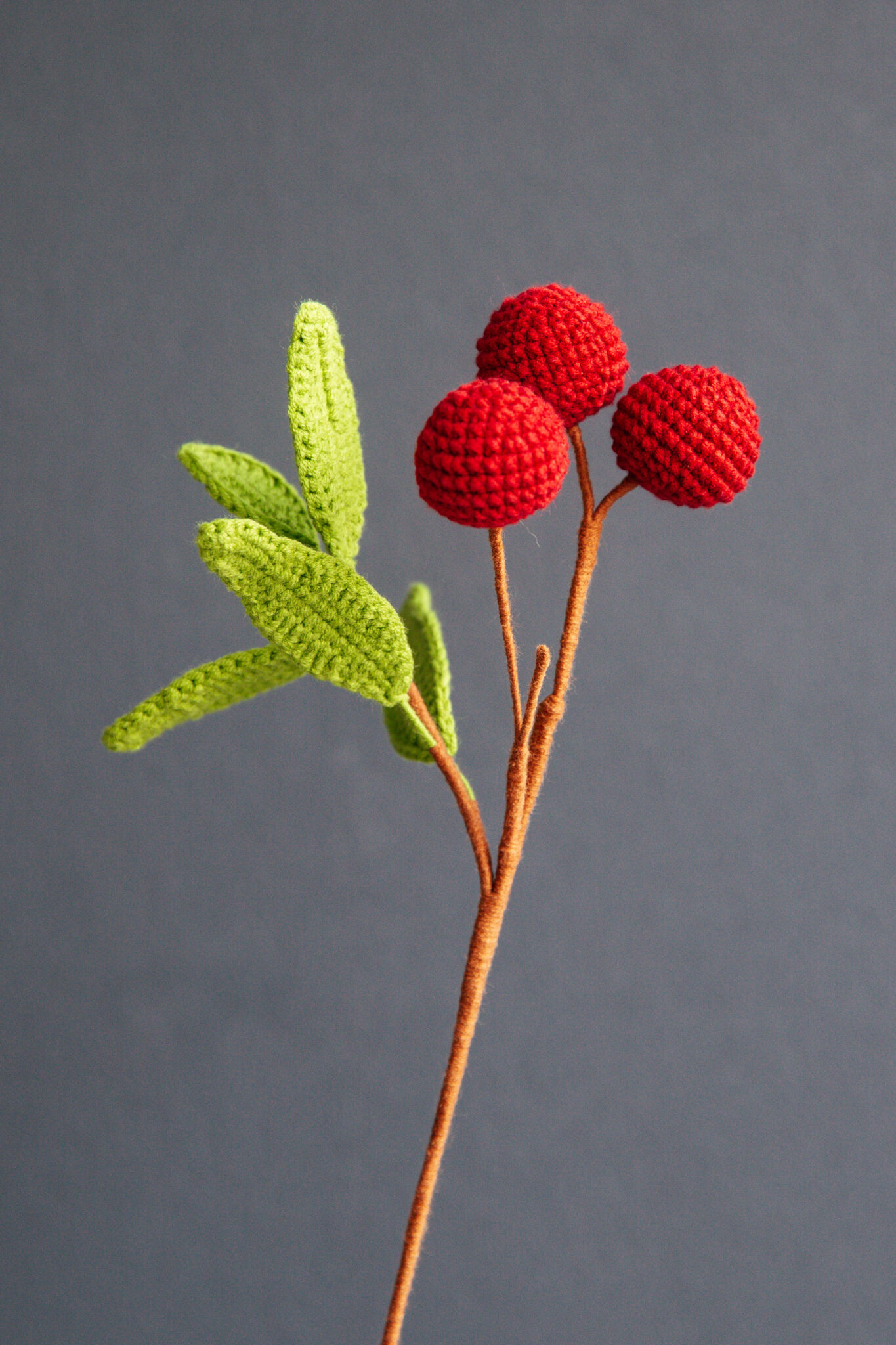 PDF Pattern- Crochet Litchi Branch - Hookok