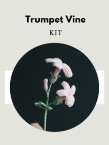 Crochet Trumpet Vine Kit – Hookok - Hookok