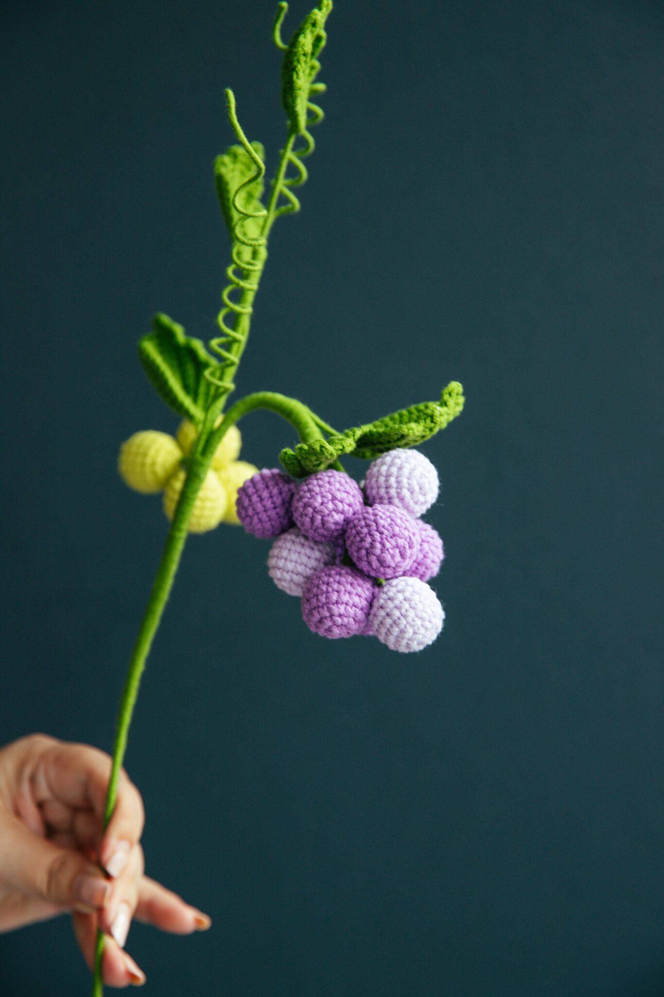 PDF Pattern- Crochet Grape - Hookok