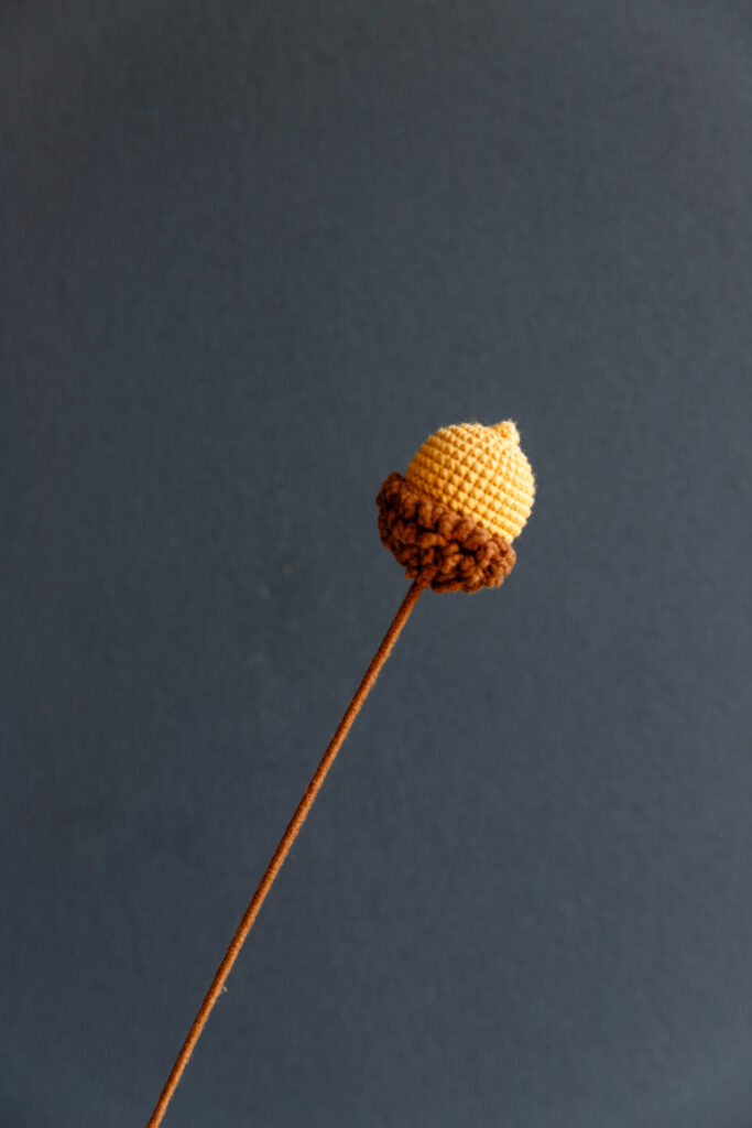 PDF Pattern- Crochet Large Acorn - Hookok