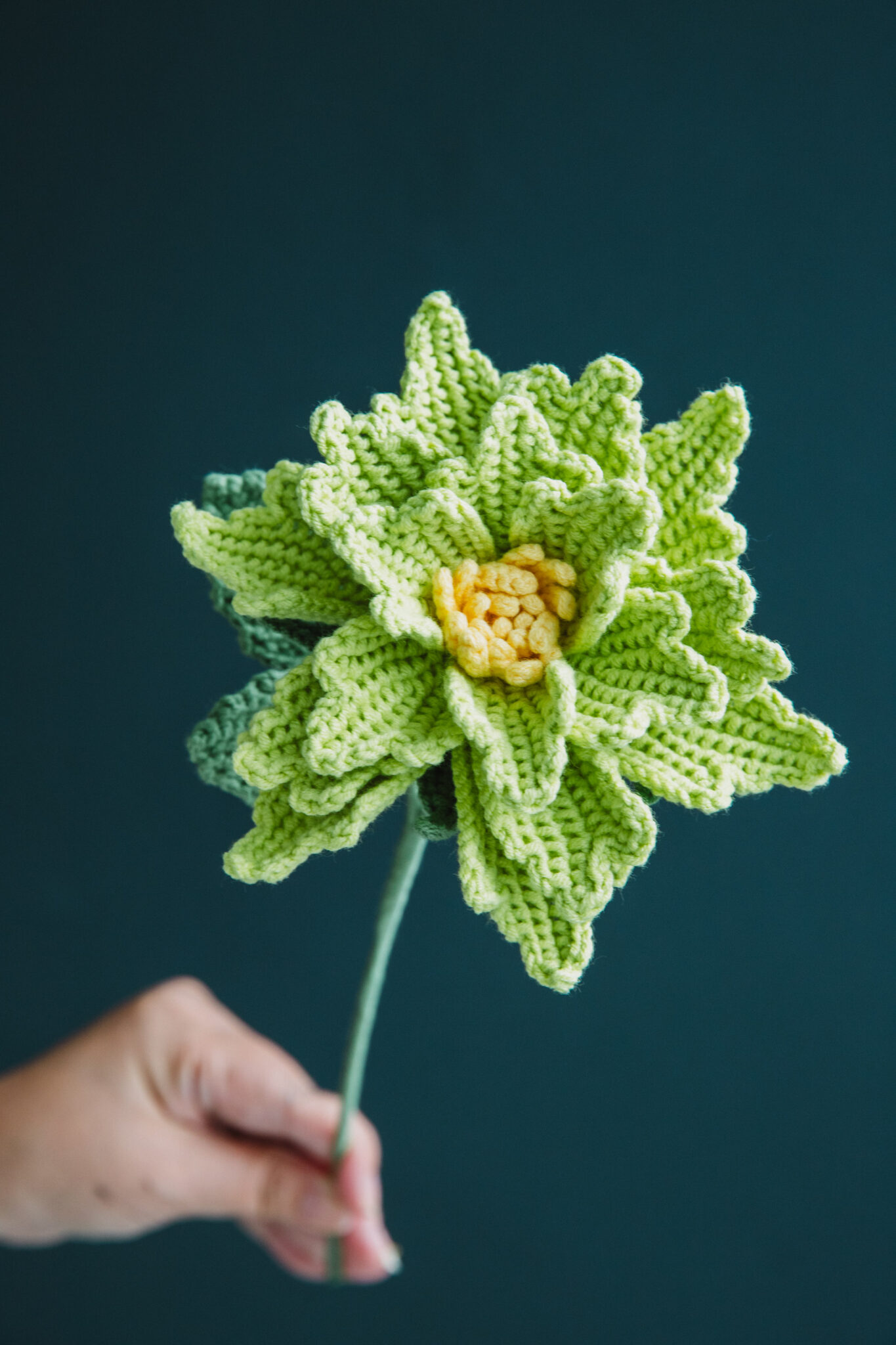 Crochet Couture Rose Tilia Kit – Hookok - Hookok