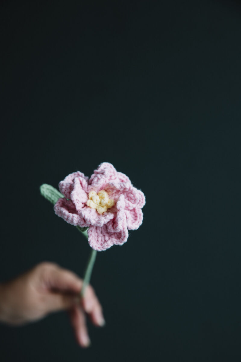 PDF Pattern- Crochet Butterfly Ranunculus - Hookok