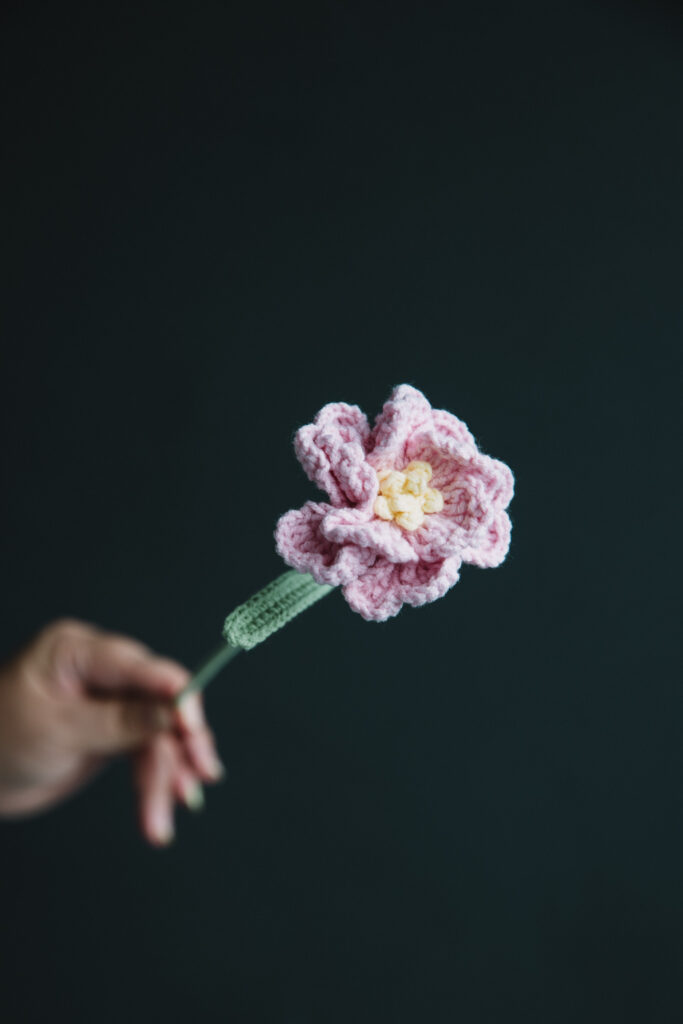 PDF Pattern- Crochet Butterfly Ranunculus - Hookok