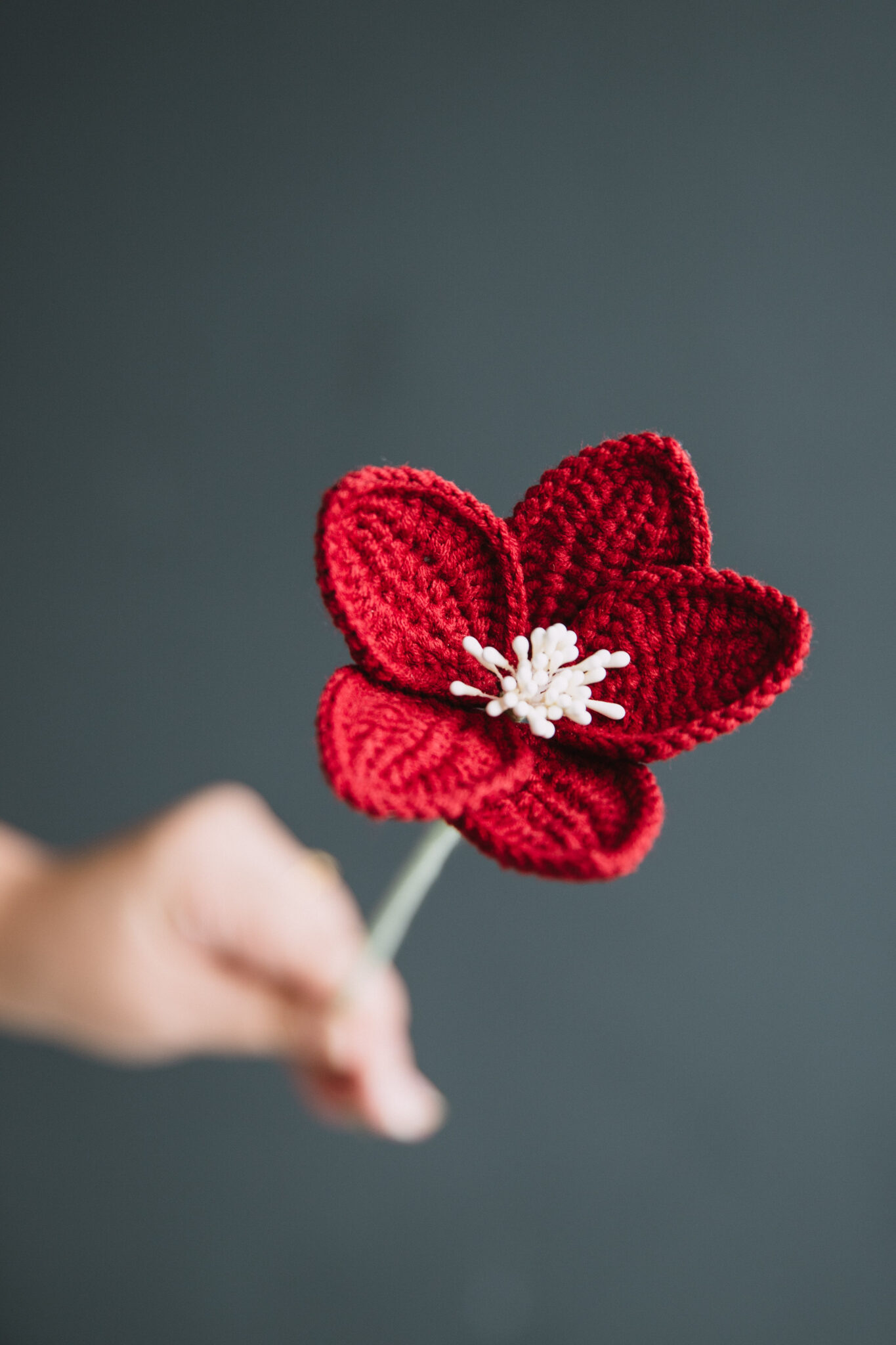 PDF Pattern- Crochet Christmas Rose - Hookok