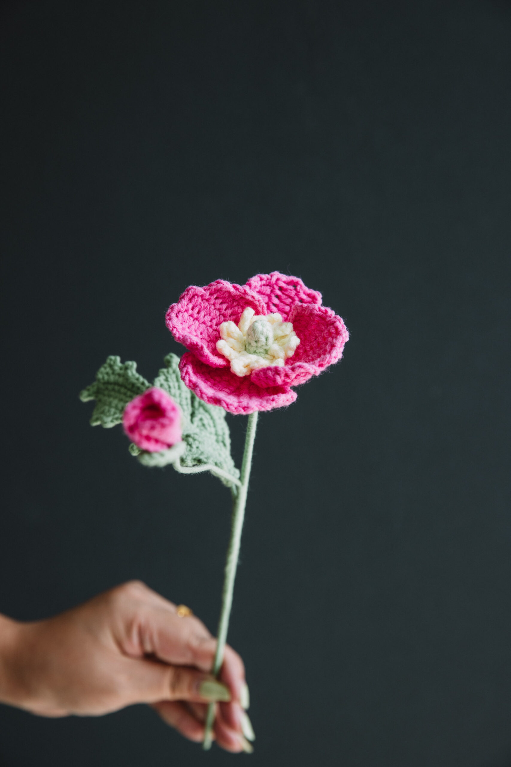 Crochet Afghan Stitch Corn Poppy Kit – Hookok - Hookok