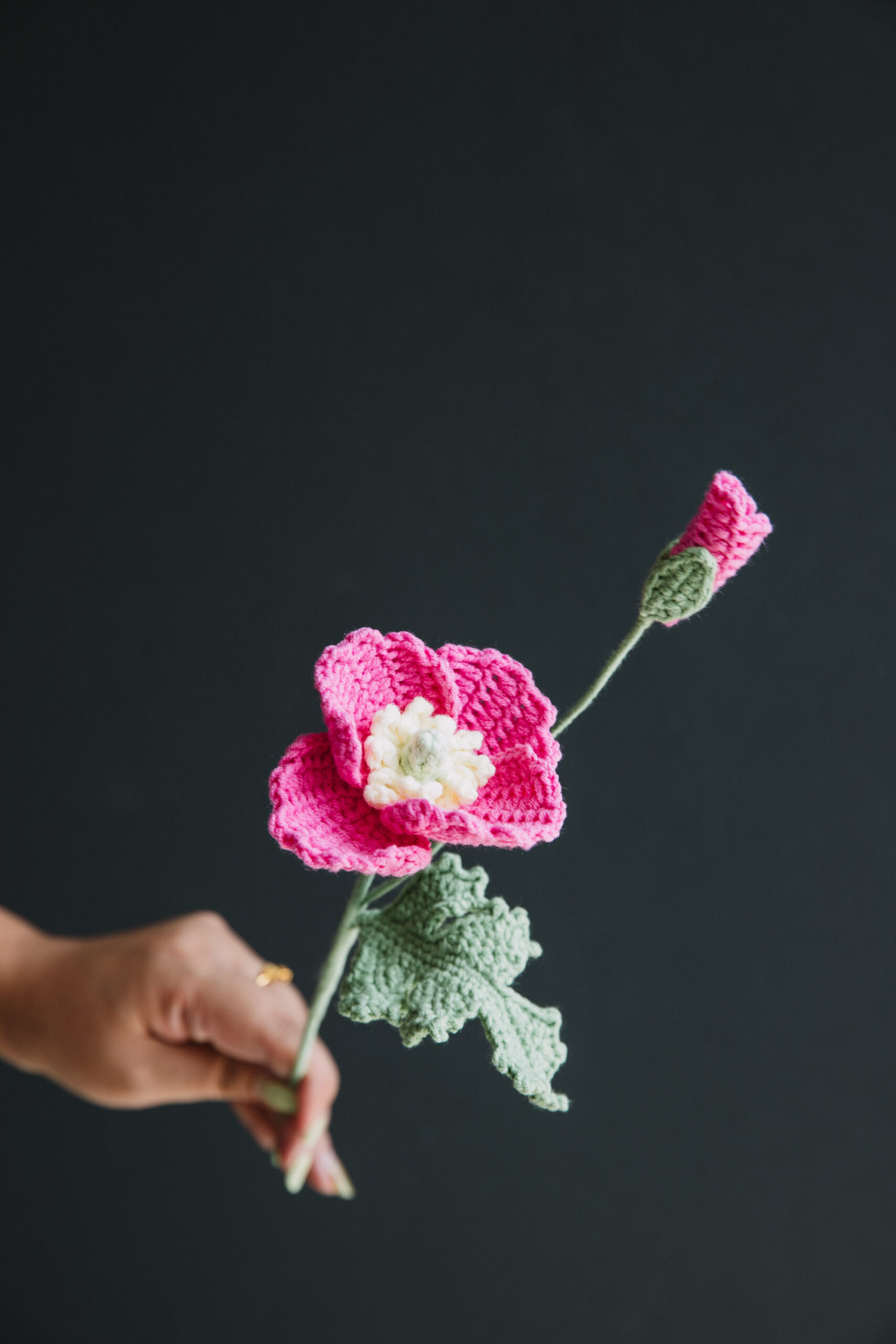 Crochet Afghan Stitch Corn Poppy Kit – Hookok - Hookok