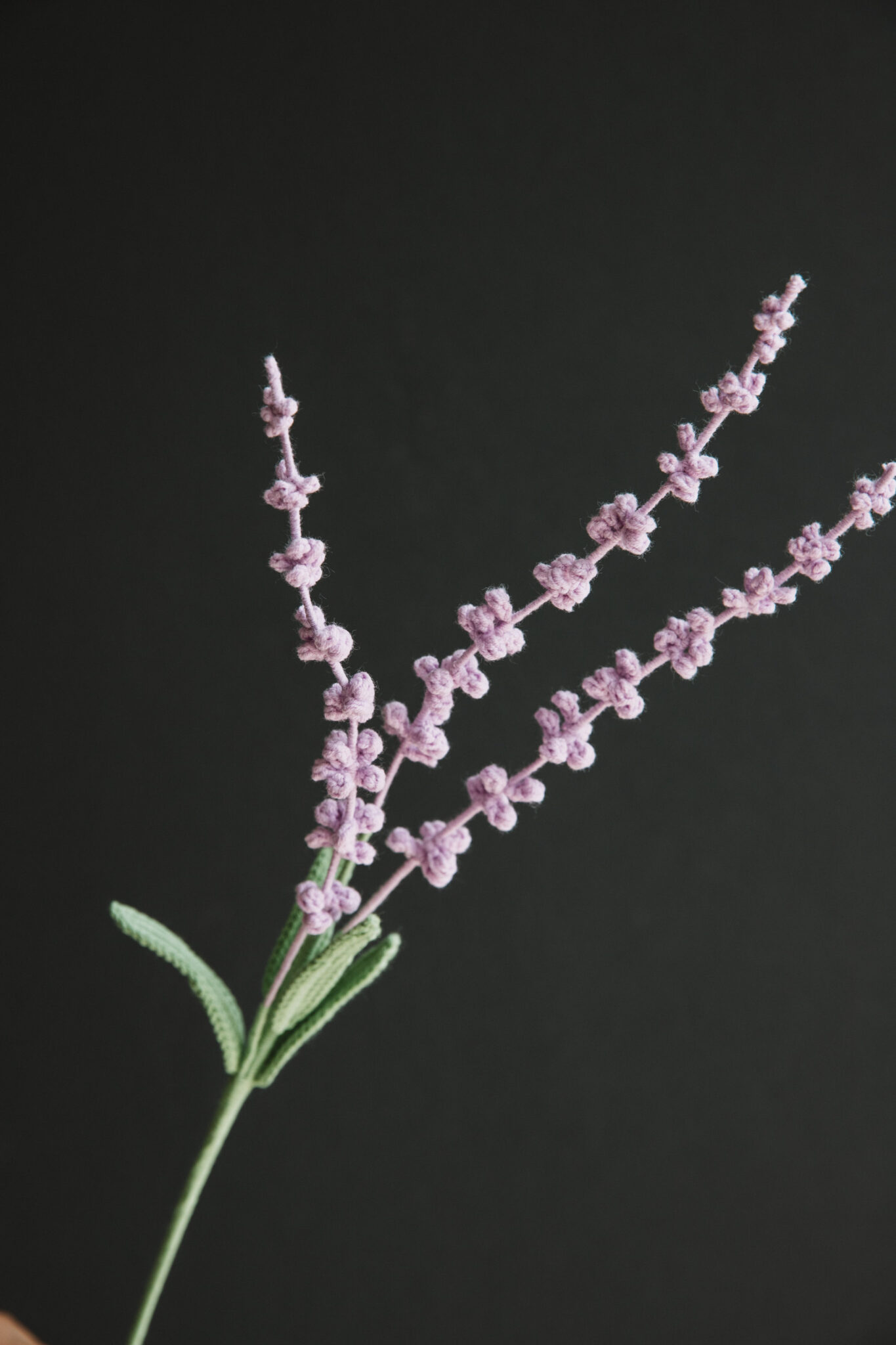 PDF Pattern- Crochet Lavender Branch - Hookok