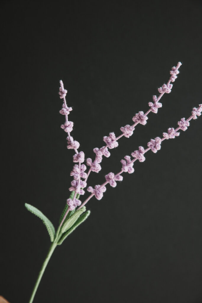 PDF Pattern- Crochet Lavender Branch - Hookok