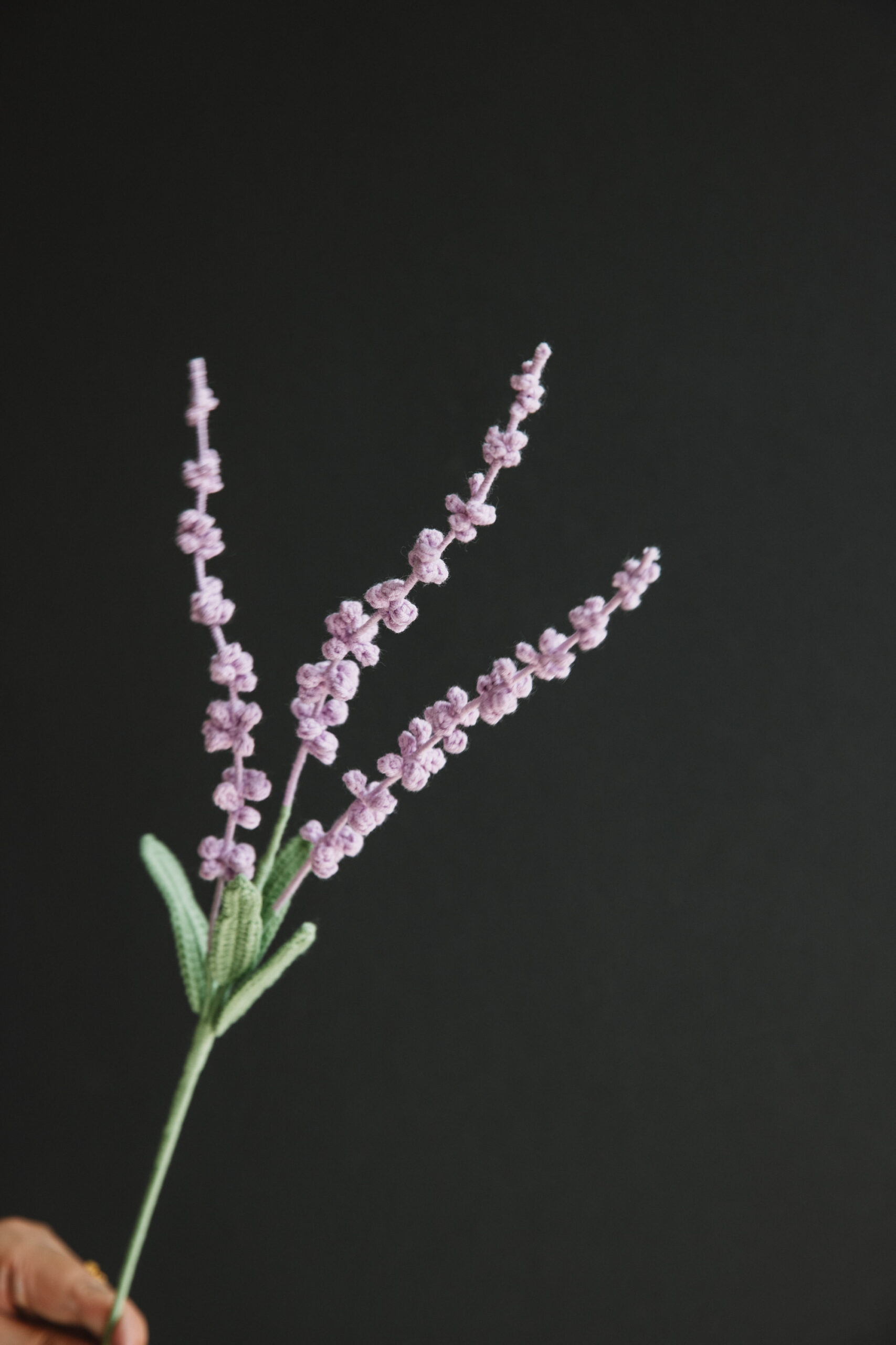 PDF Pattern- Crochet Lavender Branch - Hookok