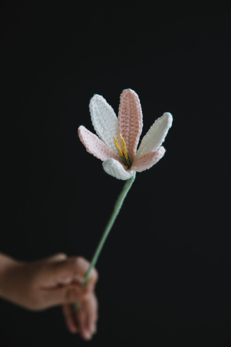 PDF Pattern- Crochet Rain Lily - Hookok