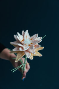 Crochet Blushing Bride Flower Kit – Hookok - Hookok