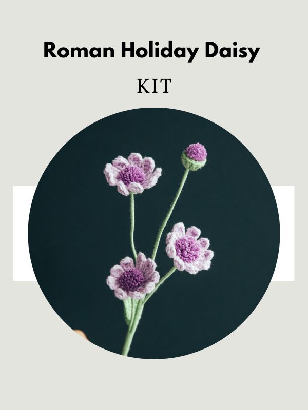 Crochet Roman Holiday Daisy Kit – Hookok - Hookok