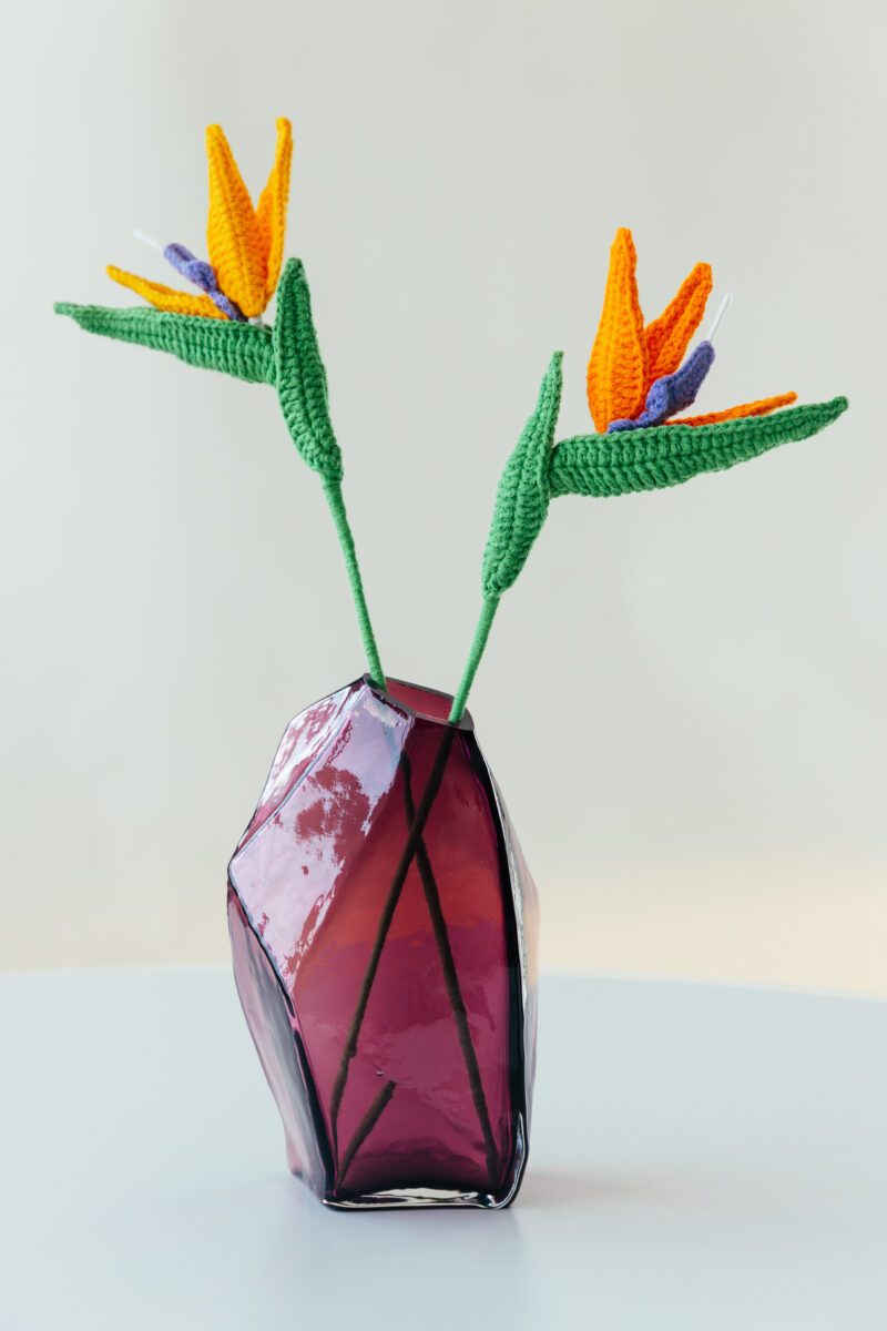 PDF Pattern - Crochet Bird of Paradise - Hookok