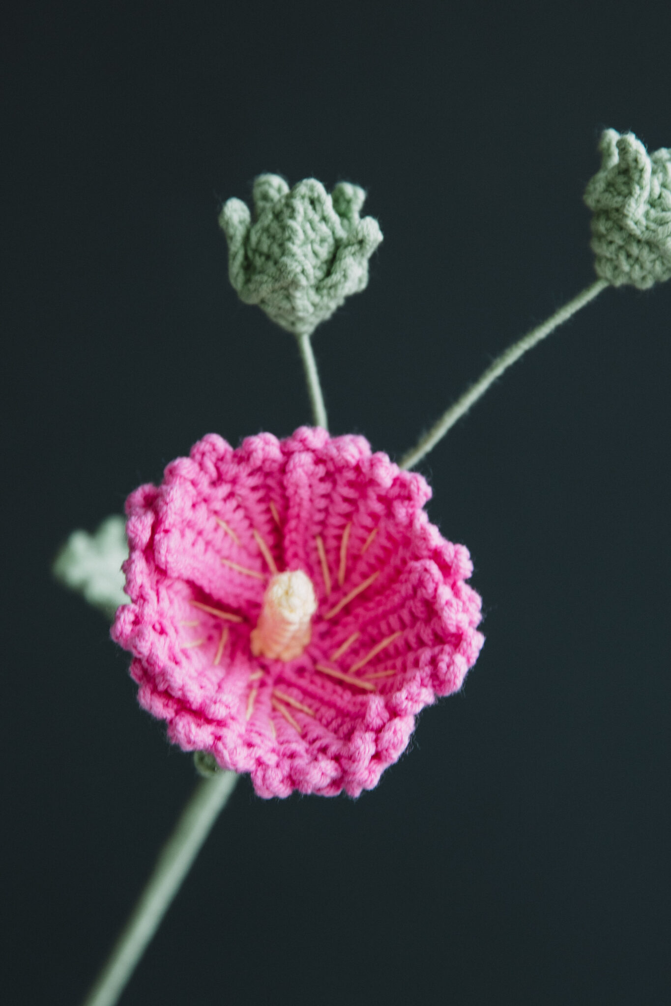 PDF Pattern - Crochet Hollyhock - Hookok