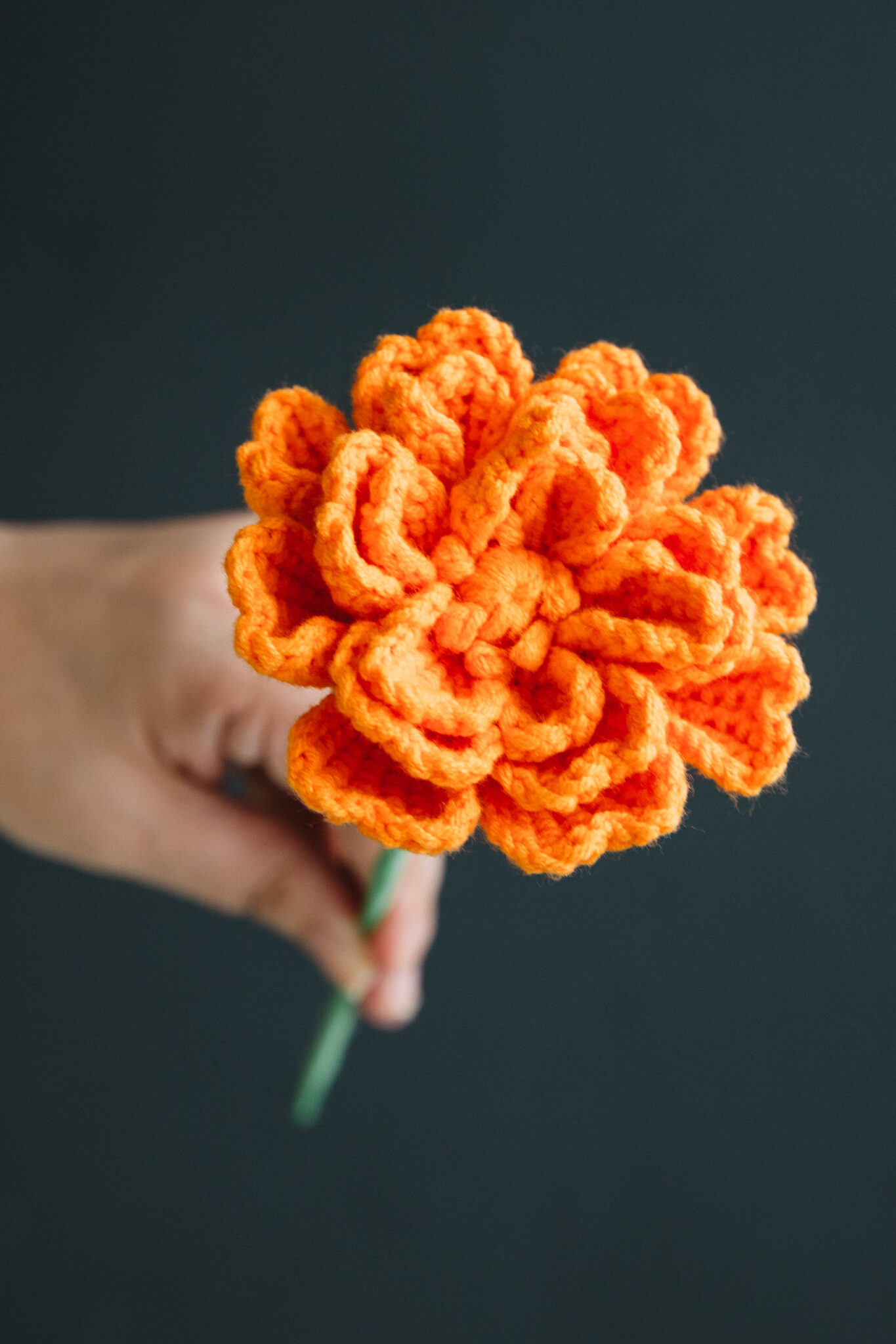 PDF Pattern - Crochet Marigold - Hookok