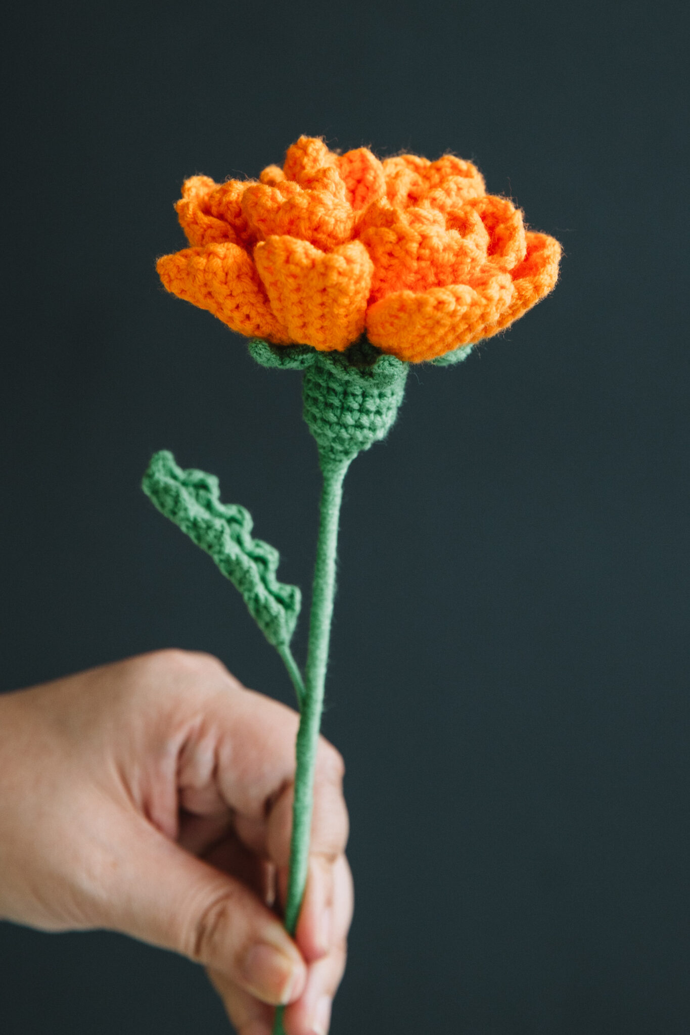 PDF Pattern - Crochet Marigold - Hookok