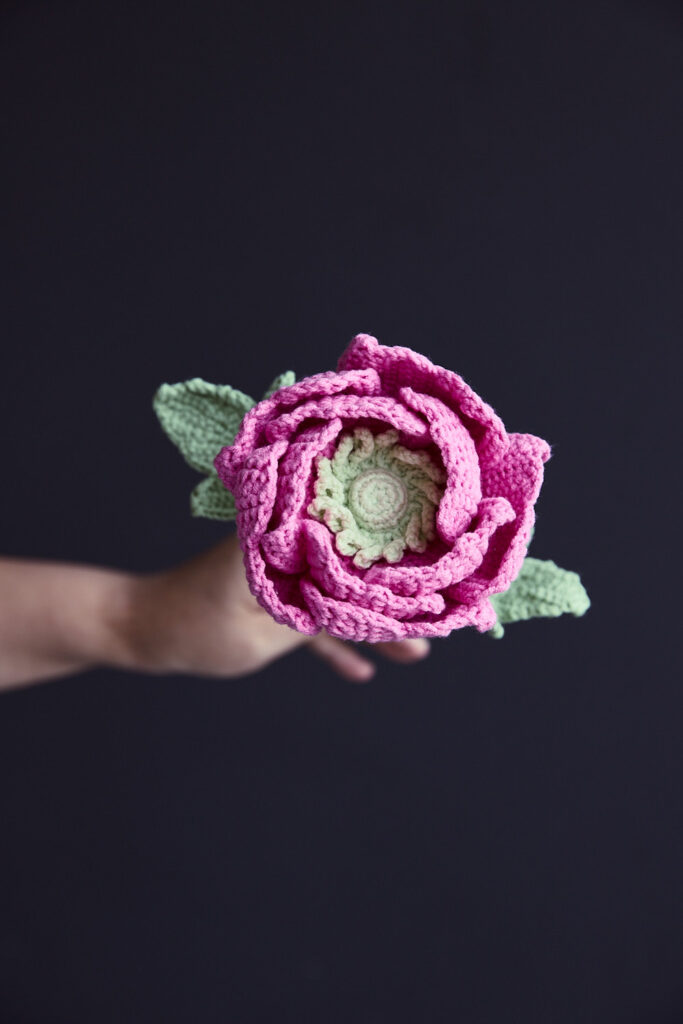 Crochet Ranunculus (Afghan Stitch) Kit – Hookok - Hookok
