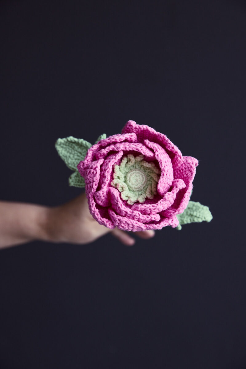 Crochet Ranunculus (Afghan Stitch) Kit – Hookok - Hookok