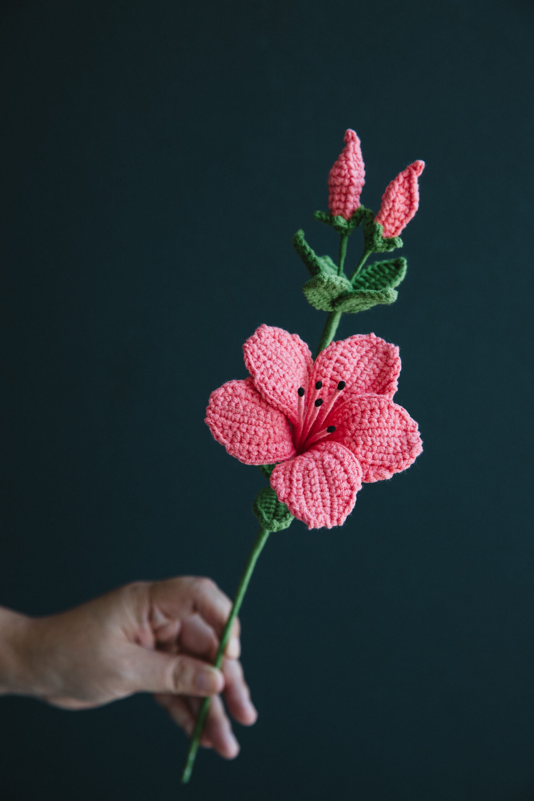 Crochet Azalea Kit – Hookok - Hookok