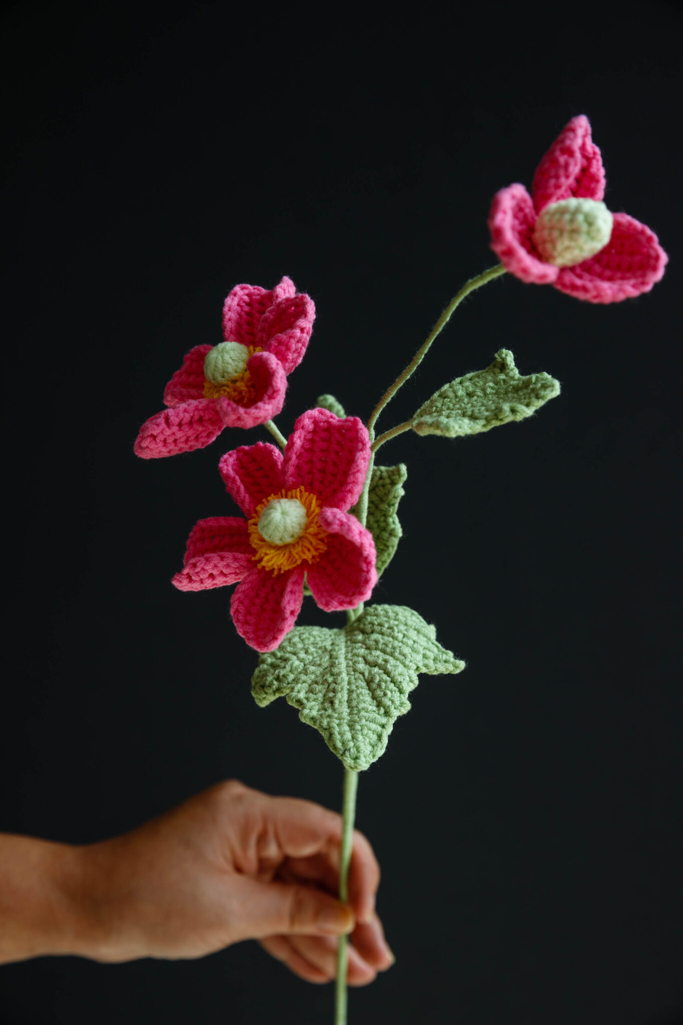 PDF Pattern - Crochet Wild Cotton Flower - Hookok