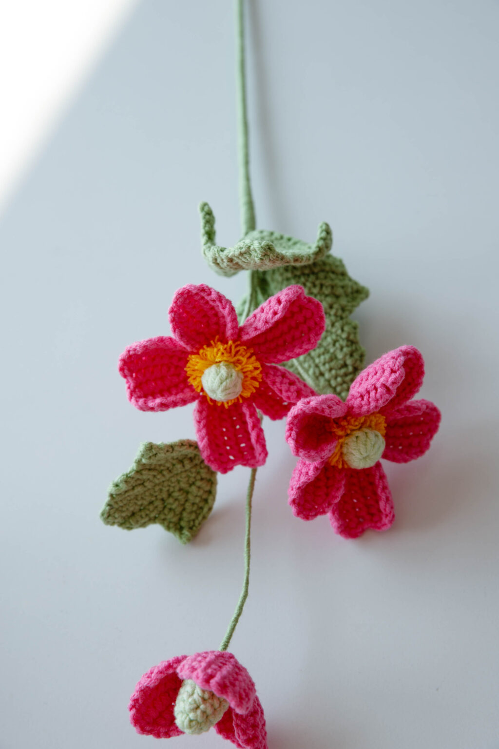 PDF Pattern - Crochet Wild Cotton Flower - Hookok