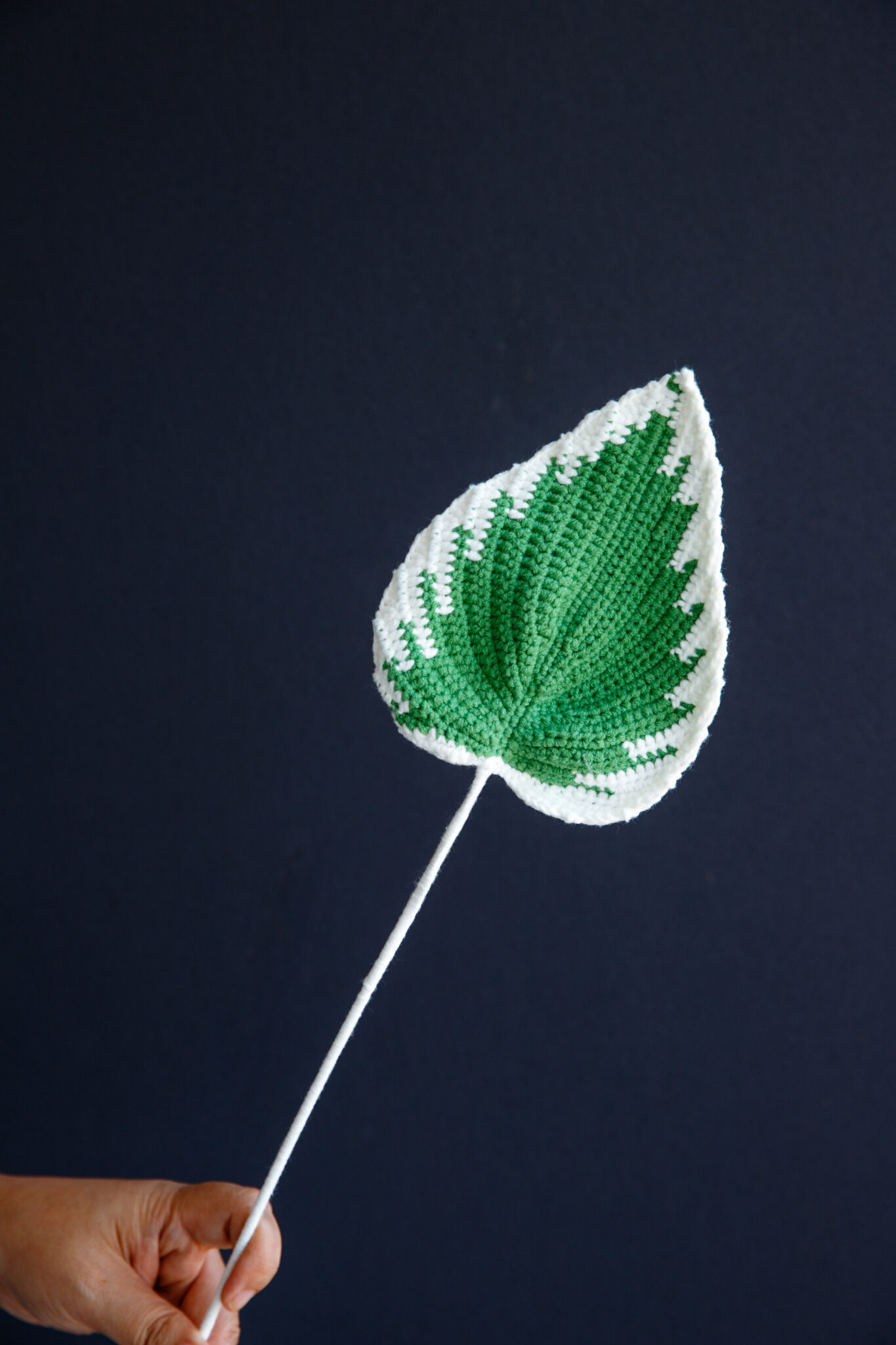 PDF Pattern - Crochet Hosta Leaf - Hookok