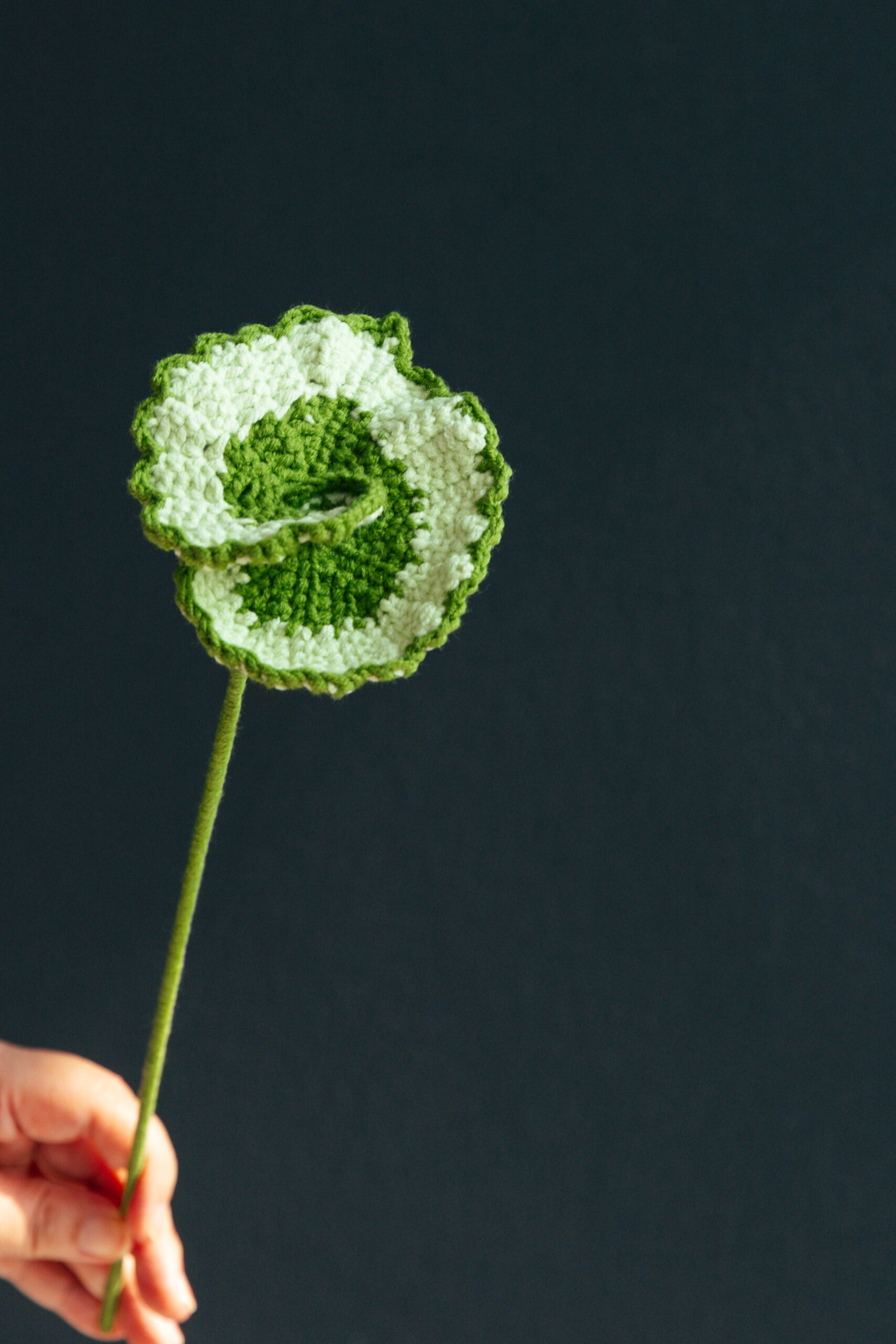 PDF Pattern- Crochet Begonia 'Escargot' - Hookok