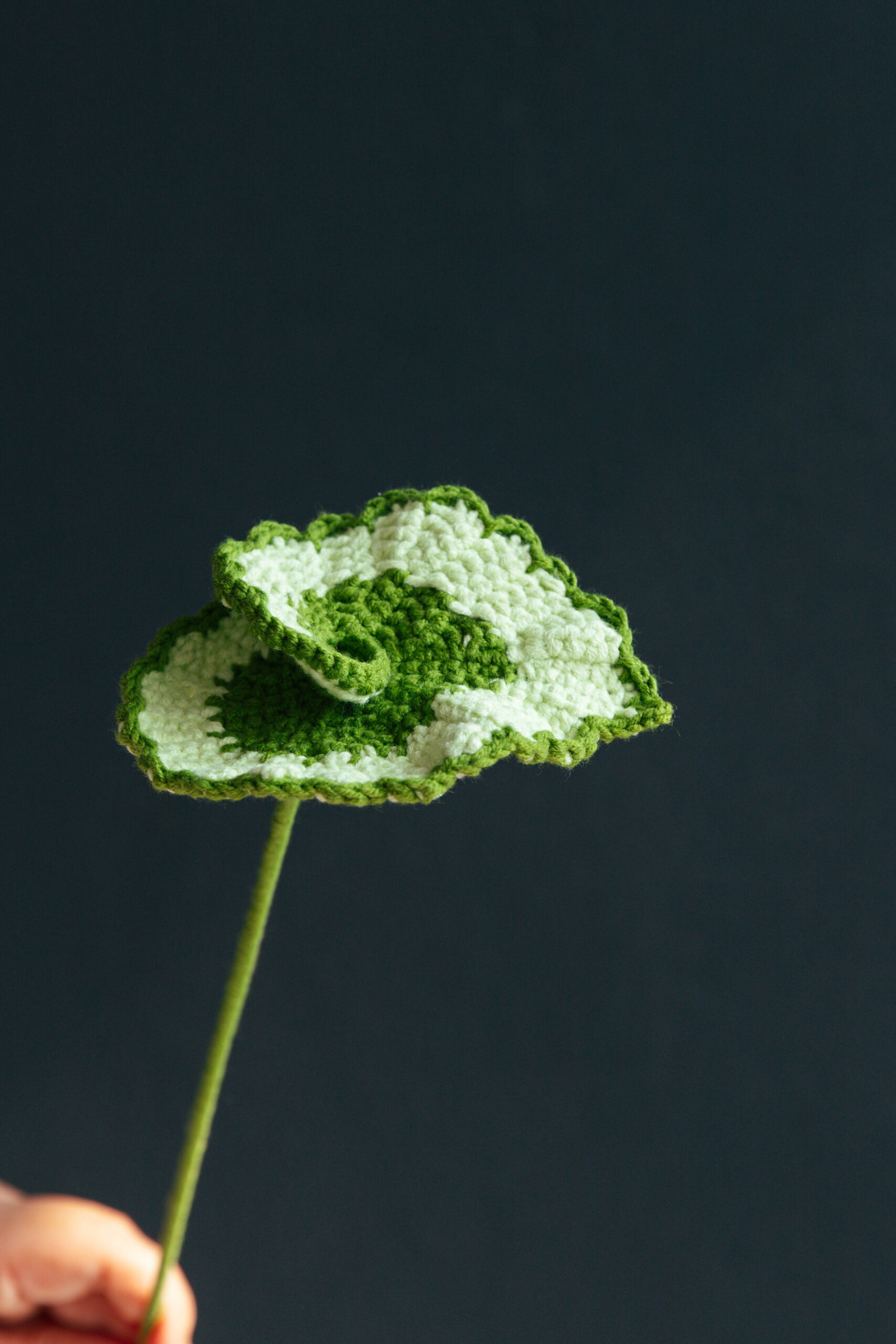 PDF Pattern- Crochet Begonia 'Escargot' - Hookok